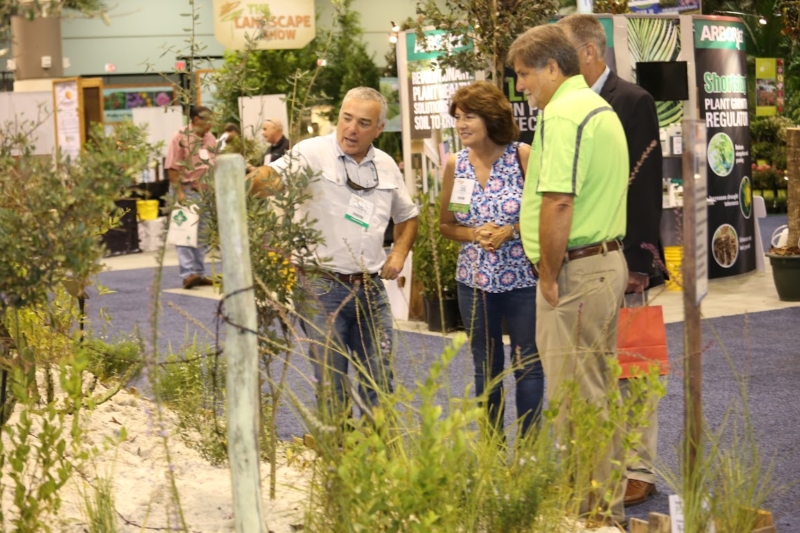 Building A Florida Scrub Habitat - Sandhill Native Growers