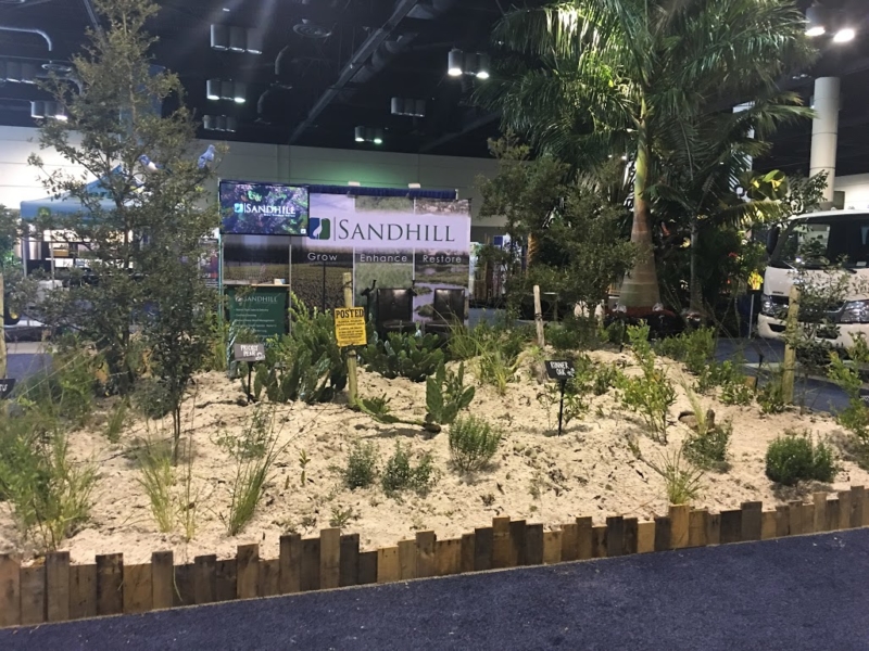 Building A Florida Scrub Habitat - Sandhill Native Growers