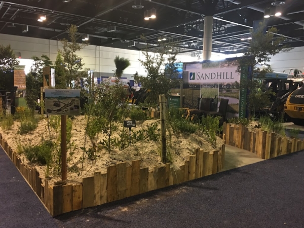 Building A Florida Scrub Habitat - Sandhill Native Growers