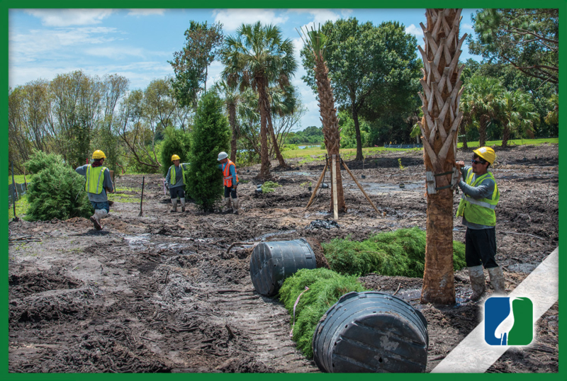 Services - Sandhill Native Growers